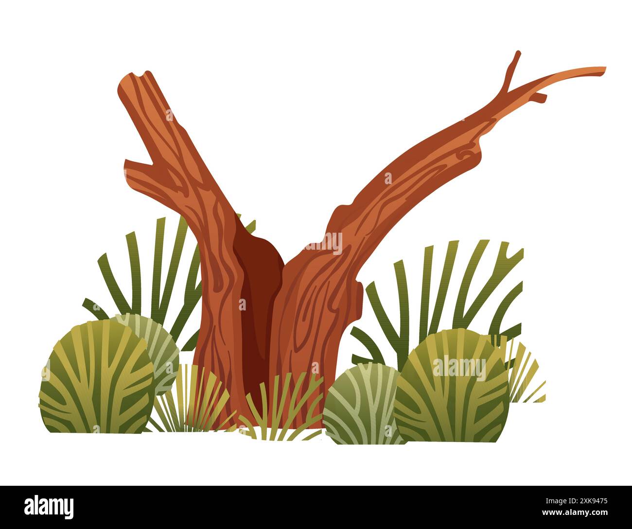 Tree stump in grassy Cut Out Stock Images & Pictures - Alamy