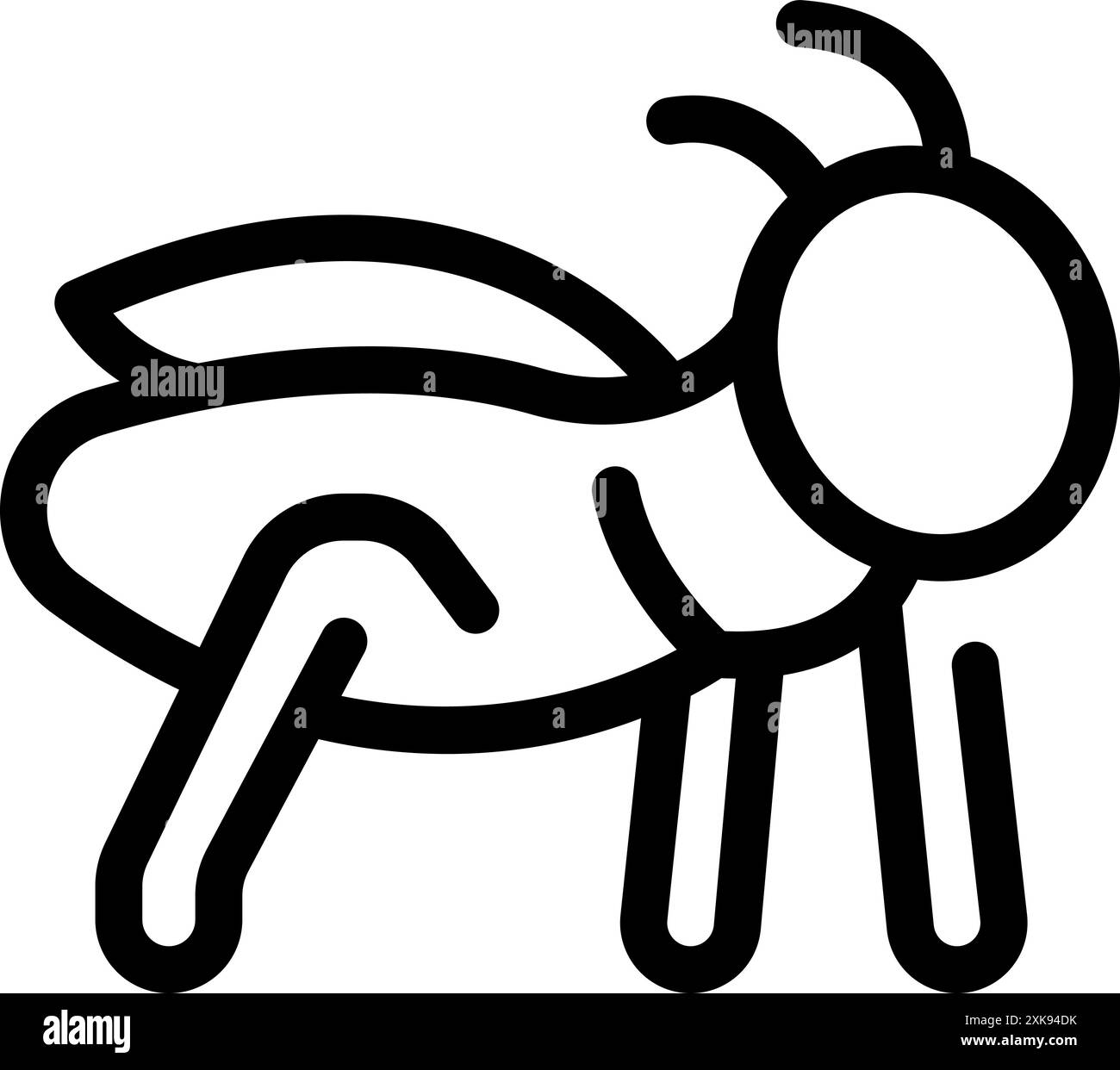 Side view wings close Black and White Stock Photos & Images - Alamy