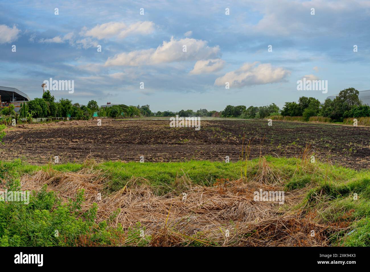 Land reclamation activity hi-res stock photography and images - Alamy