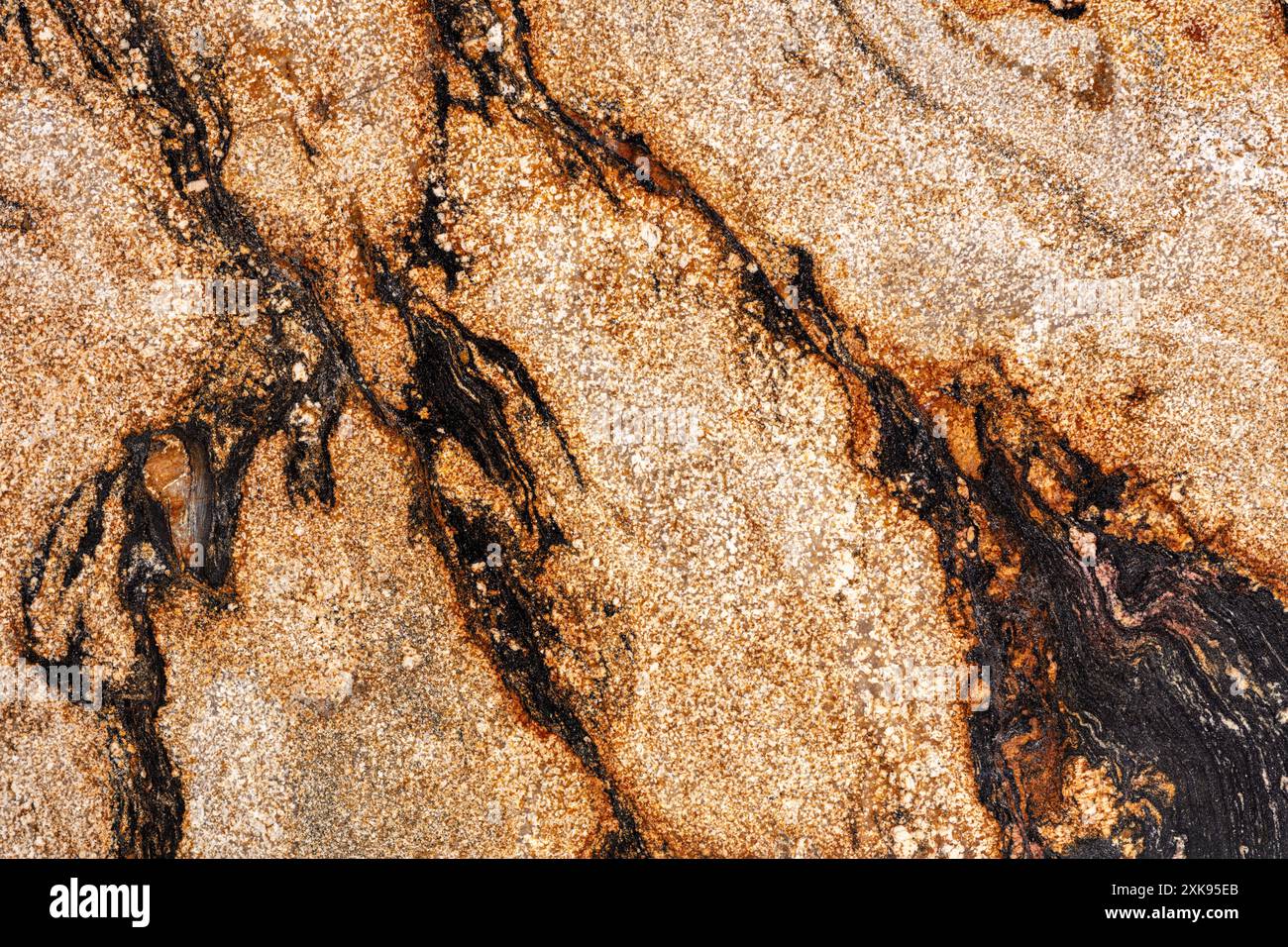 Sedna granite background, texture in ideal gold tone Stock Photo - Alamy