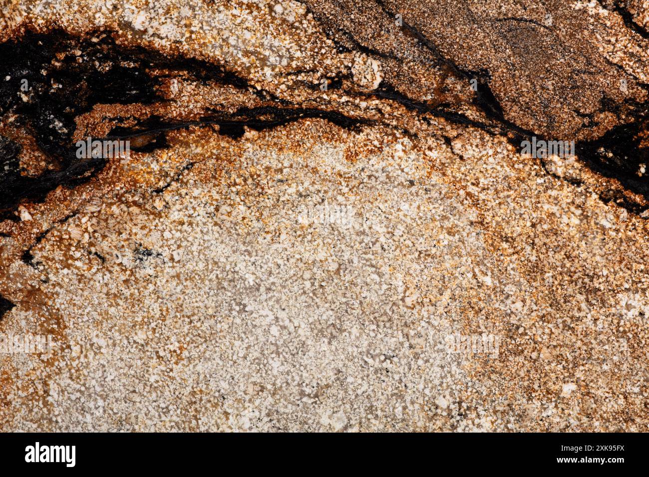 Natural Sedna Gold granite background, stylish texture Stock Photo - Alamy