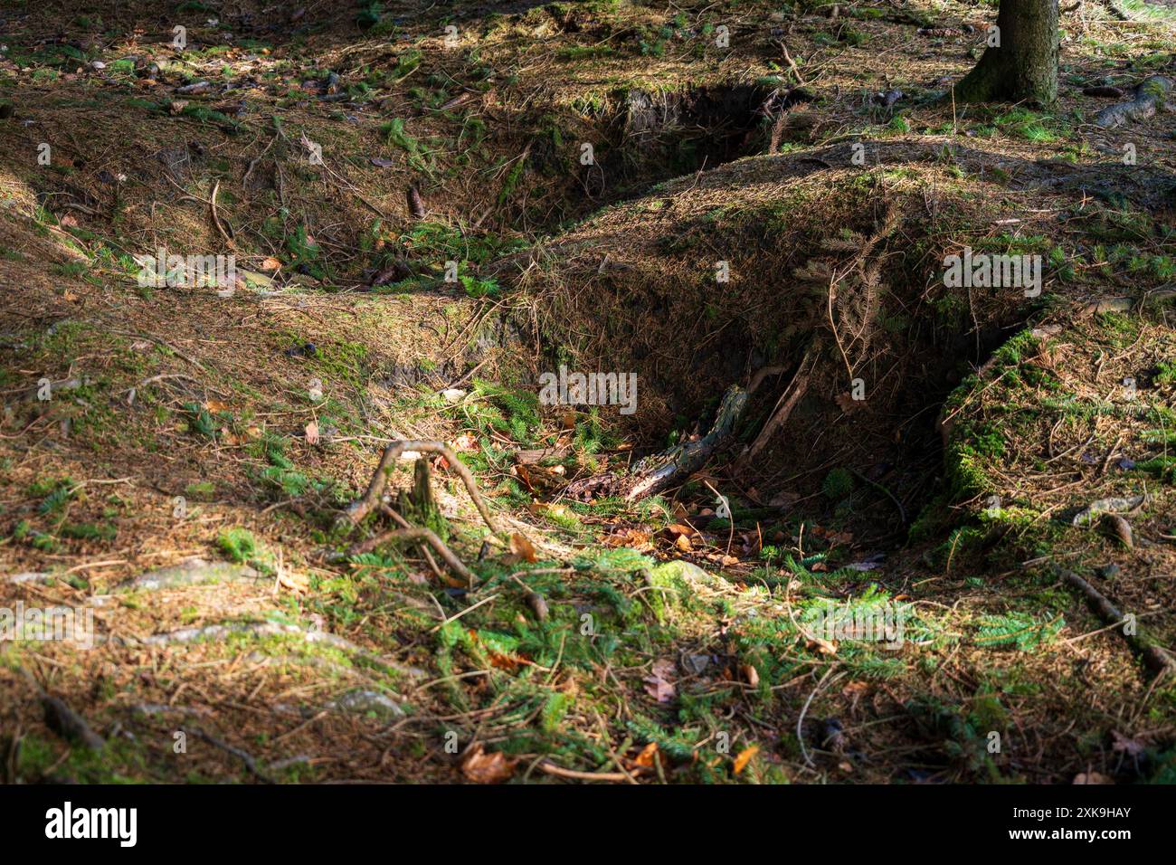 Foxholes hi-res stock photography and images - Alamy