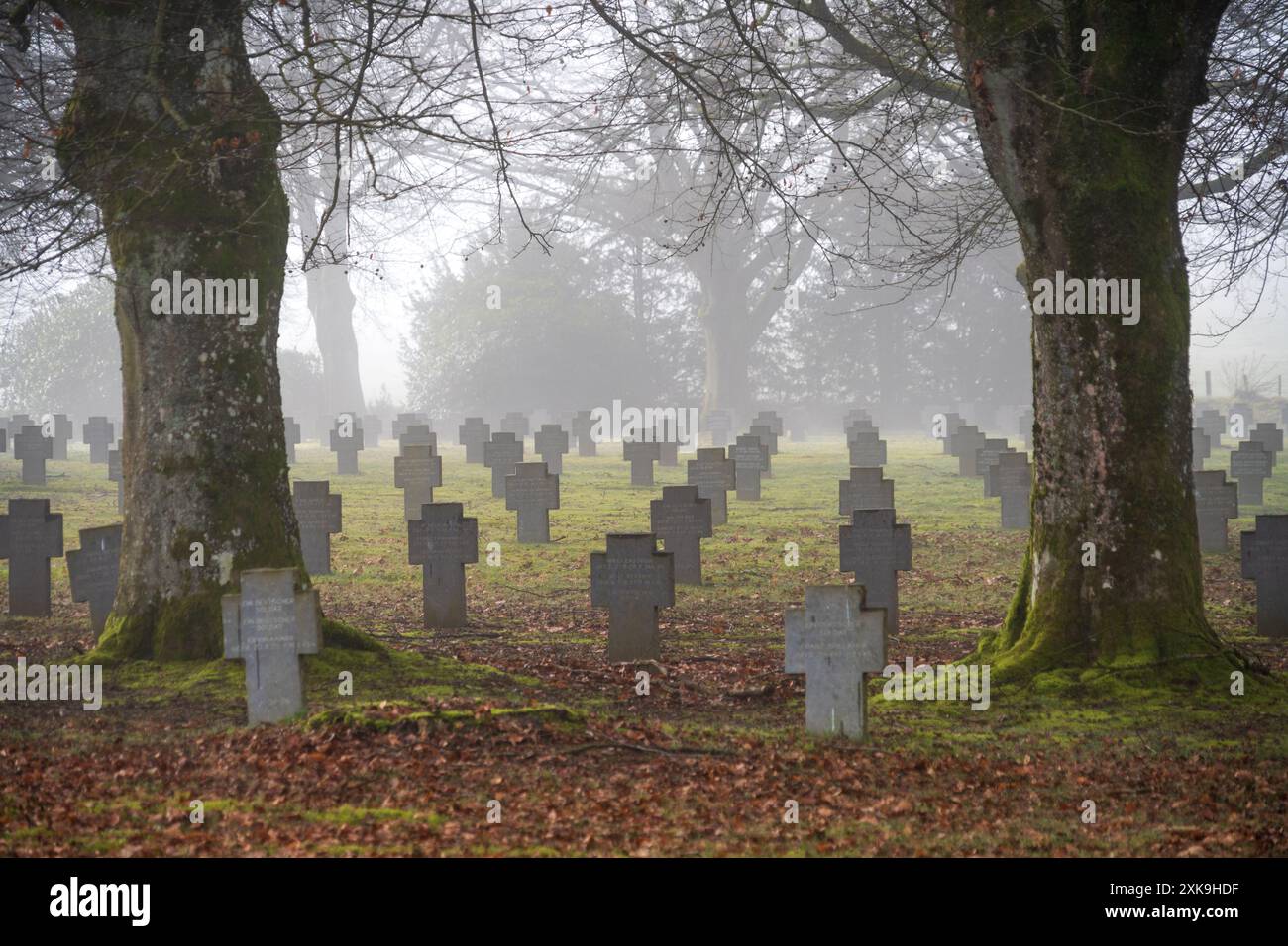 Belgium, Recogne-Bastogne German War Cemetery, World War Two Cemeteries ...
