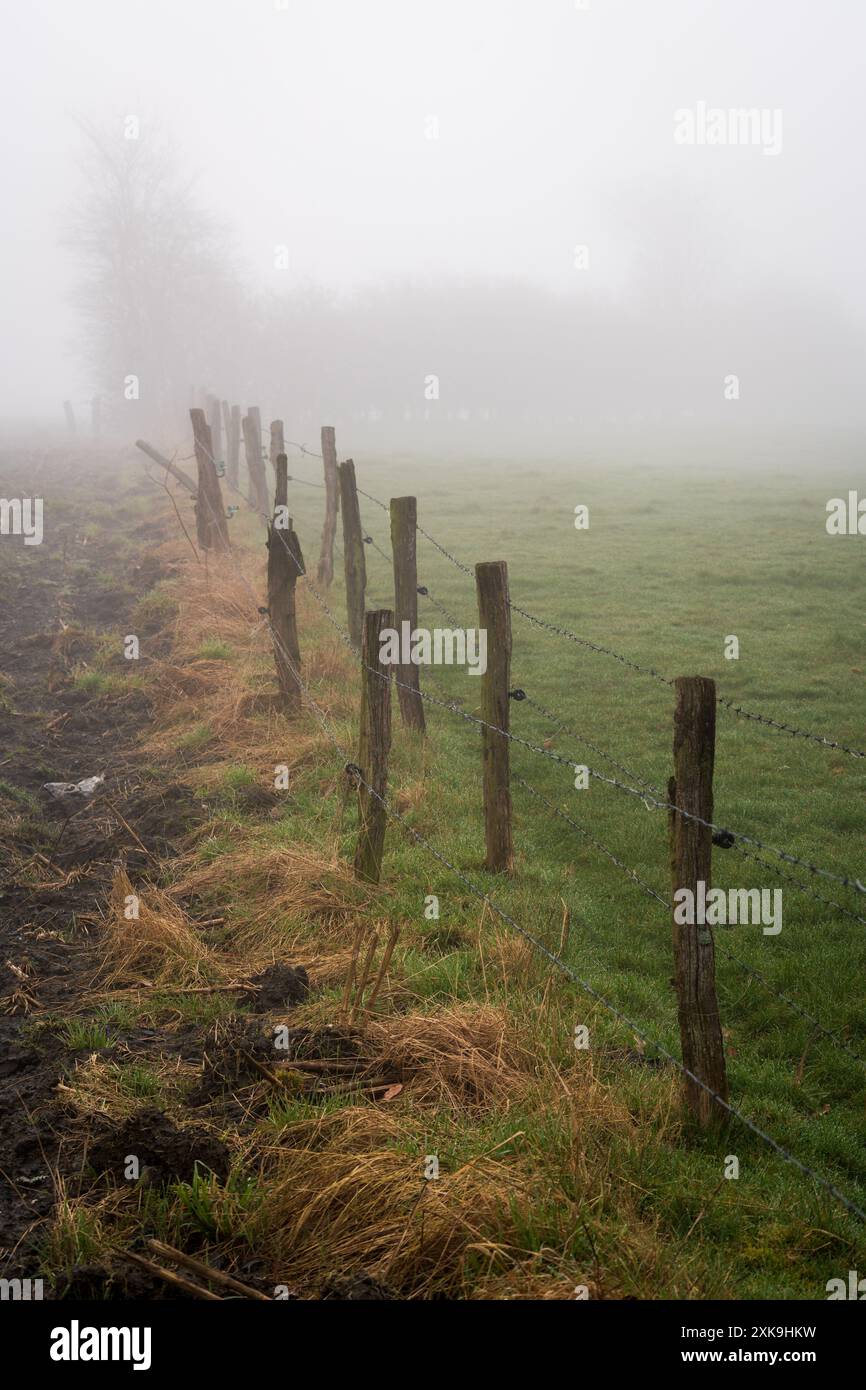 The Siege of Bastogne Battlefield, The Battle for Noville's Landscape ...