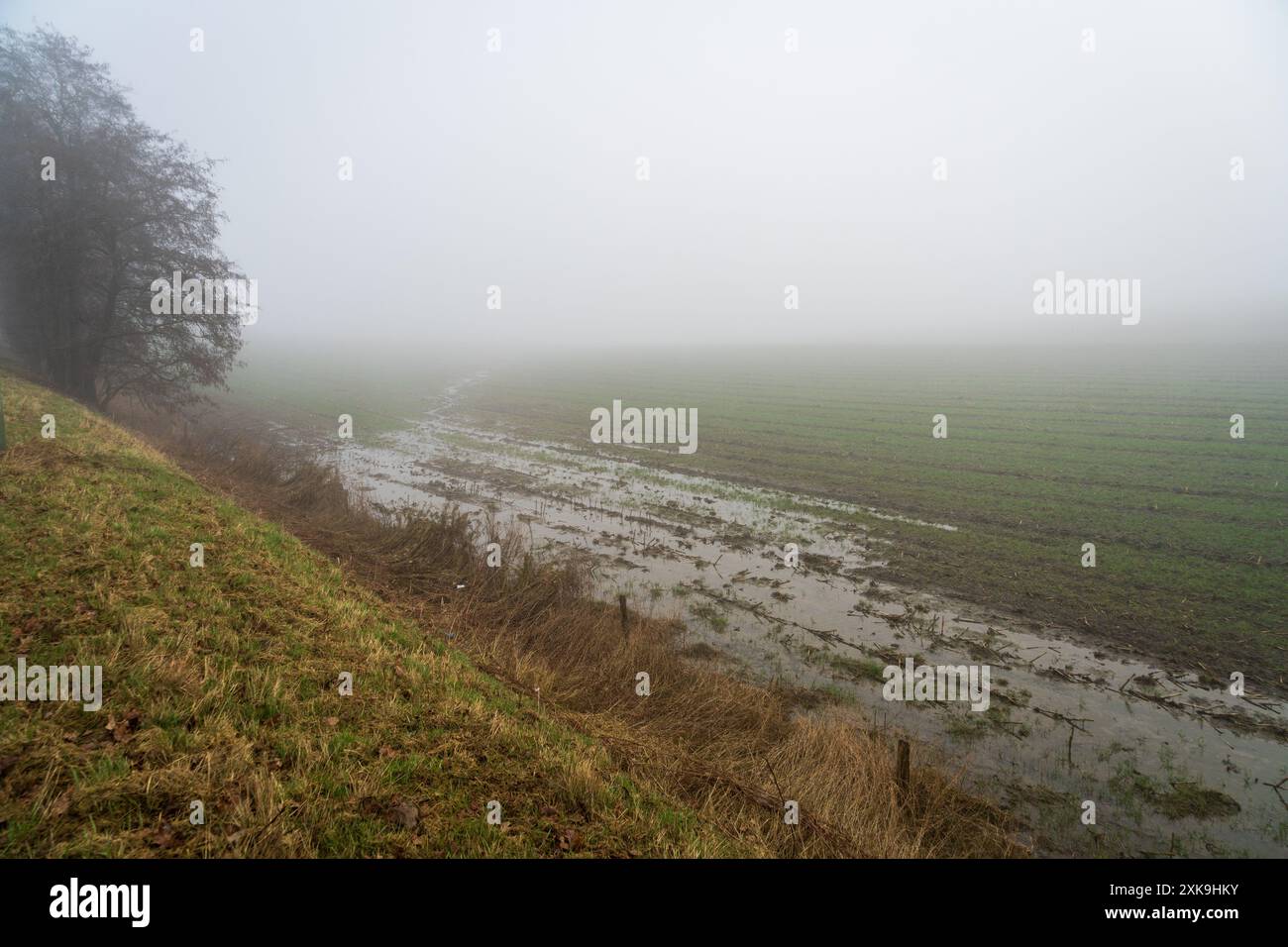 The Siege of Bastogne Battlefield, The Battle for Noville's Landscape ...