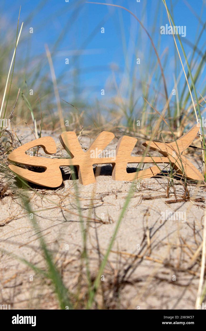 Sylt ist die größte nordfriesische Insel. Sie erstreckt sich in Nord ...