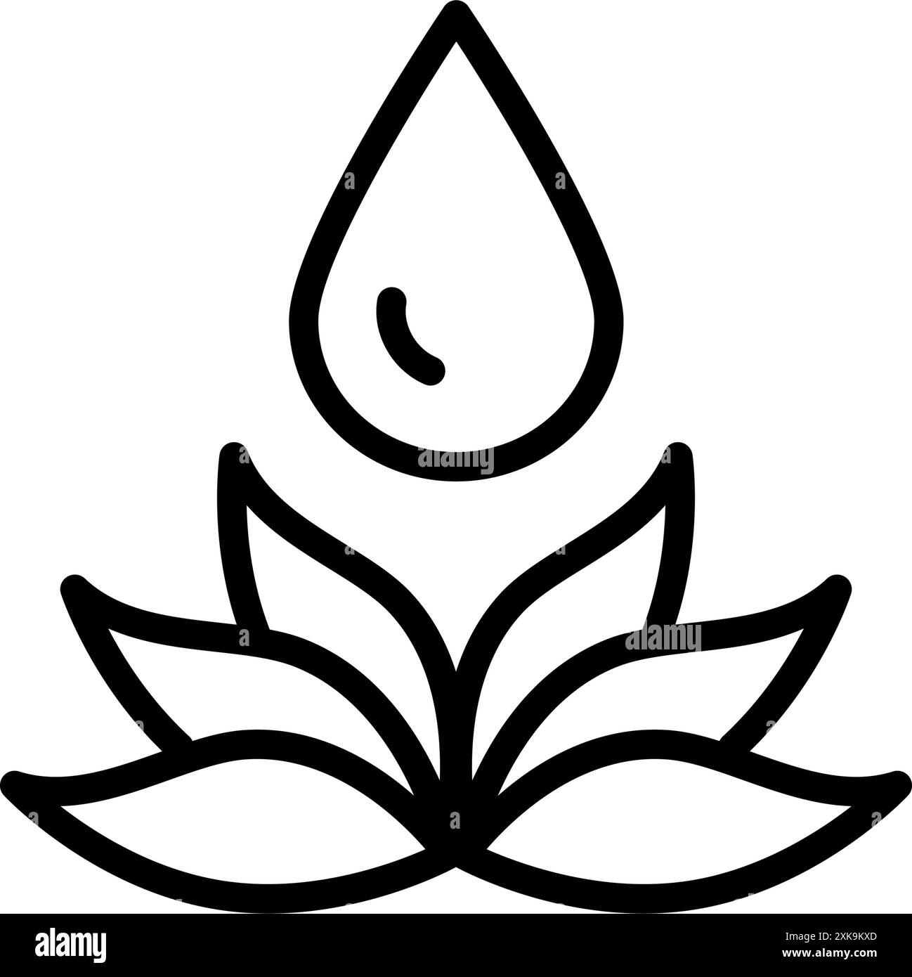 Lily essential Black and White Stock Photos & Images - Alamy