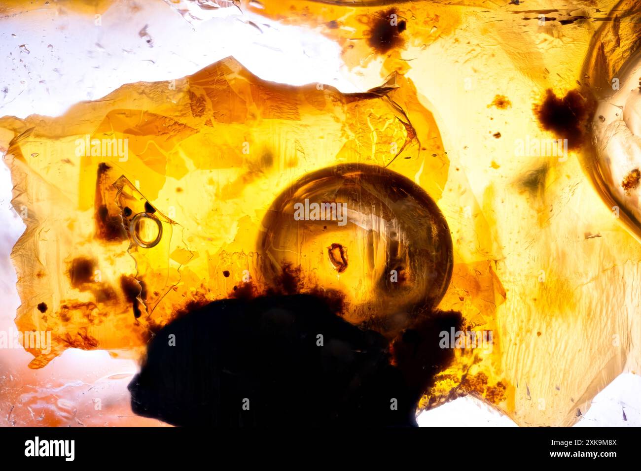 Sparkle background firefly hi-res stock photography and images - Alamy