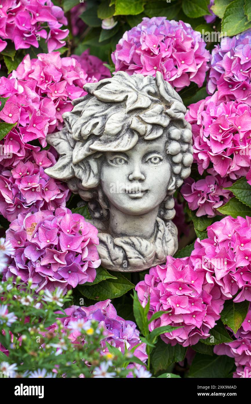 flower fairy and pink hydrangea macrophylla Endless Summer in the ...