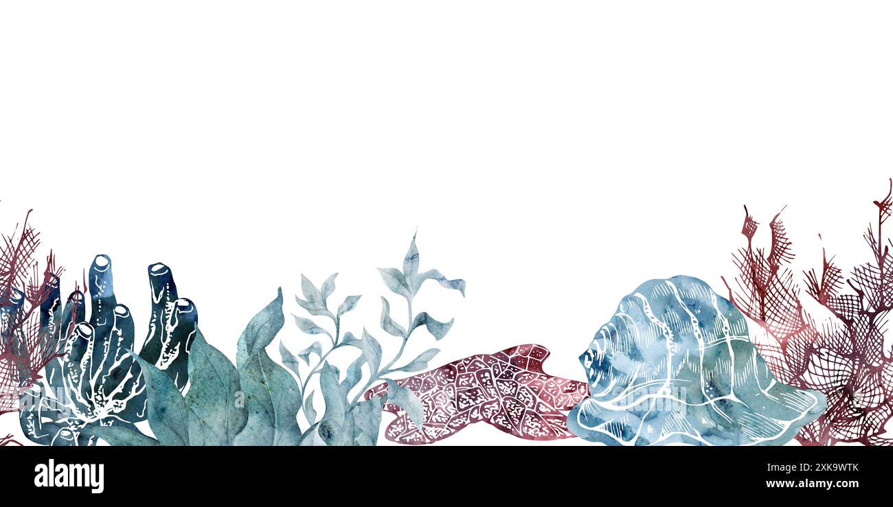 Watercolor and ink hand drawn marine life, sea ocean underwater ...