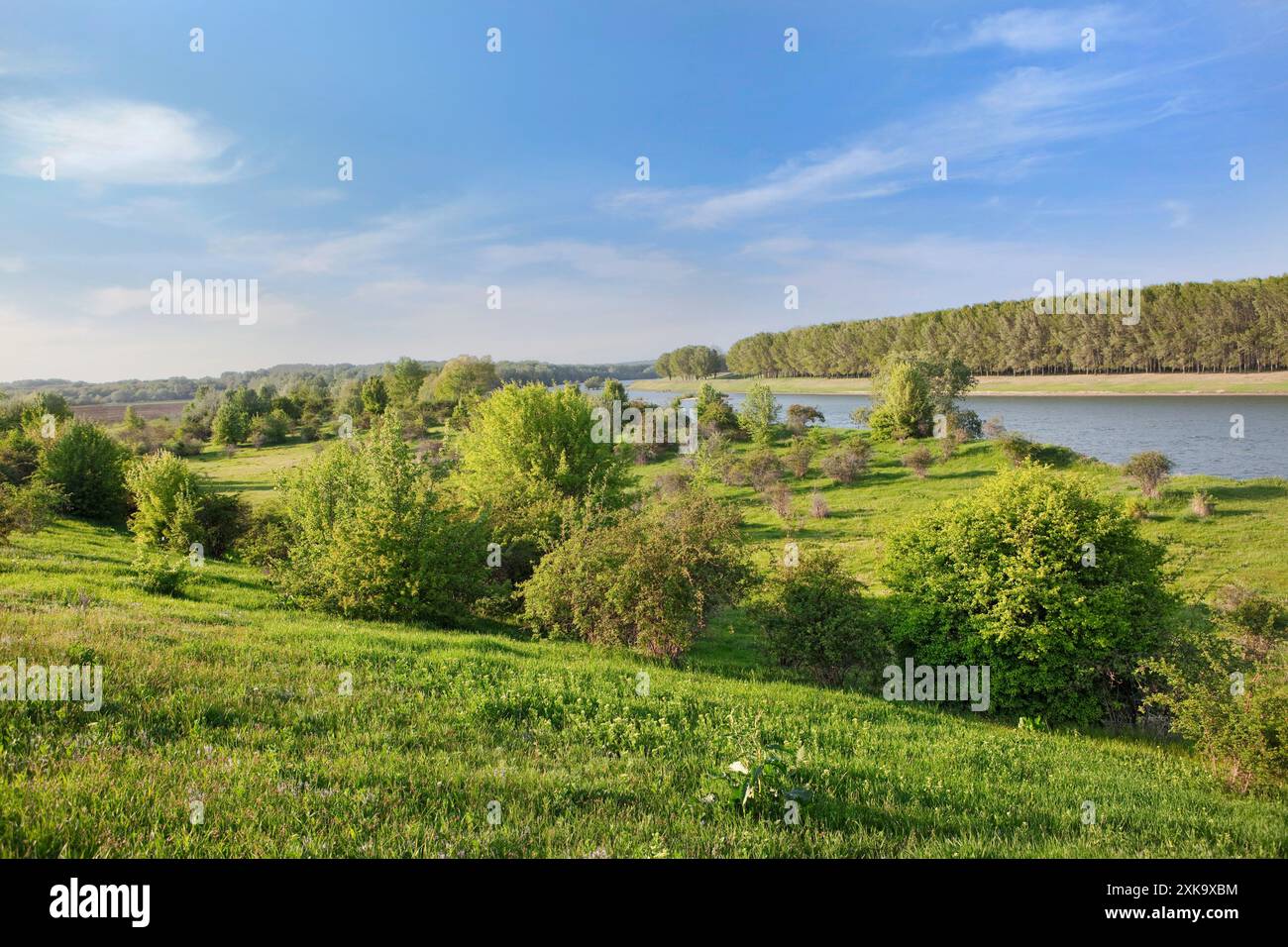 Green field with river . Riverside green nature scenery Stock Photo - Alamy