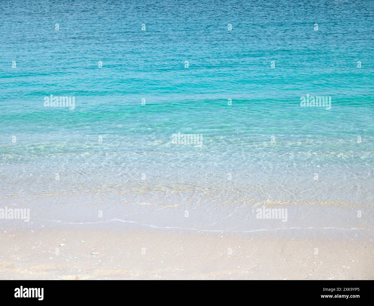 Beach aesthetic background. Paradise island. Sandy shore washing by the ...