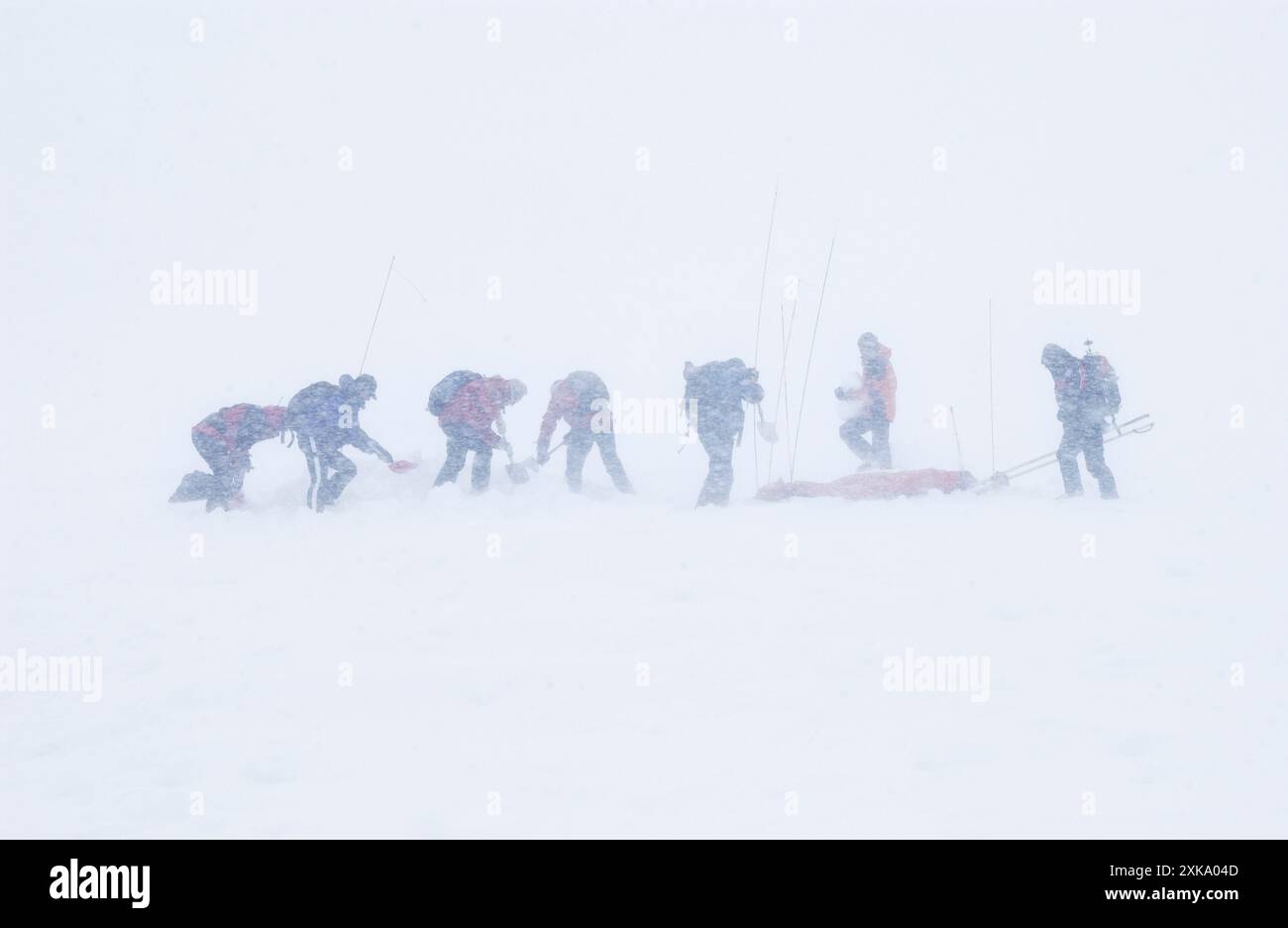 Mountain rescue workers are searching for an avalanche victim Stock ...