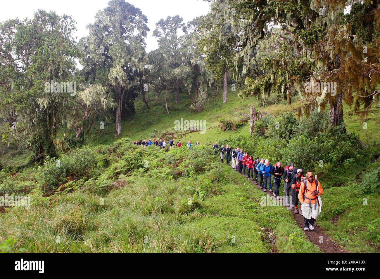 Hikers, porters and guides on their way to Mount Meru, a mountain in ...