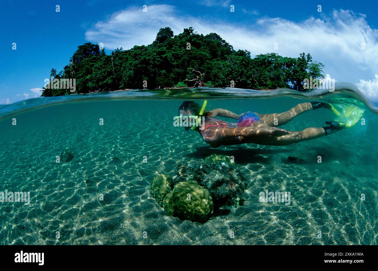 Snorkeling, scin diver, split image, Papua New Guinea, Pacific ocean ...