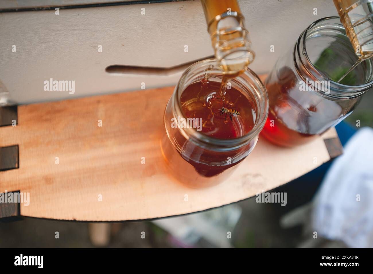 Honey bee fallen into a honey jar Stock Photo - Alamy