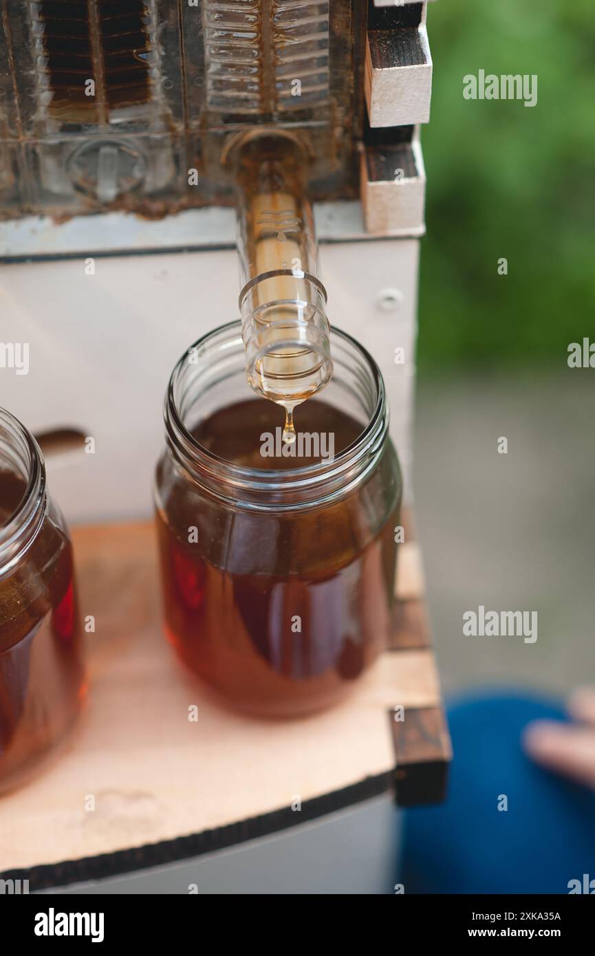 Honey dropping after a harvest Stock Photo - Alamy