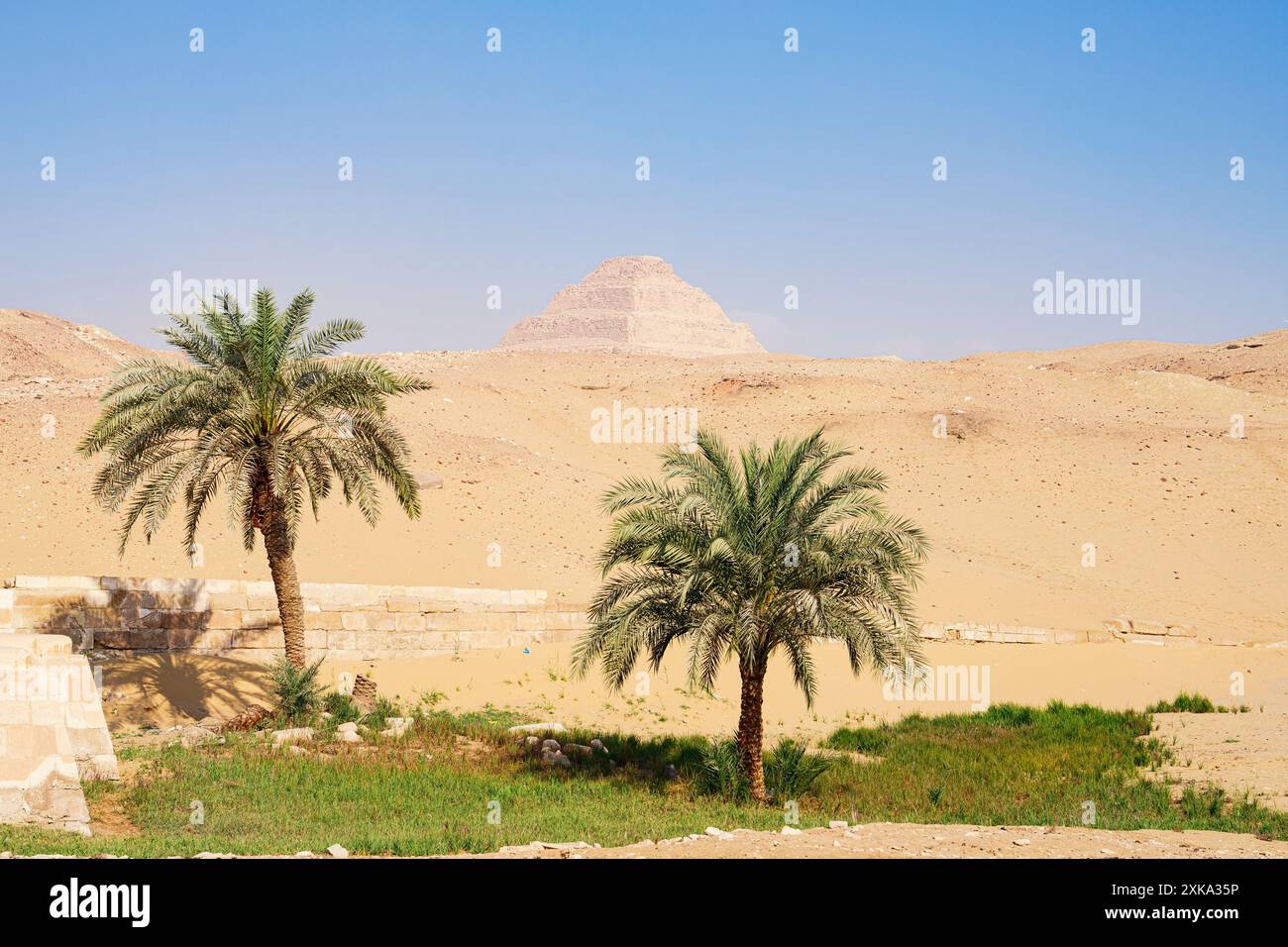 Palm trees framing the old Step Pyramid of Djoser, Saqqara, Egypt Stock ...