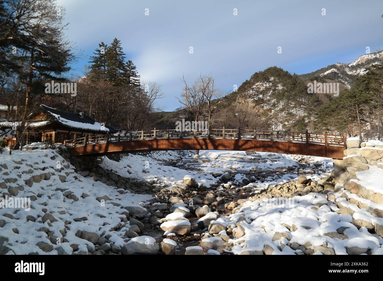 Mountain landscape with snow and pine trees in winter, South Korea ...