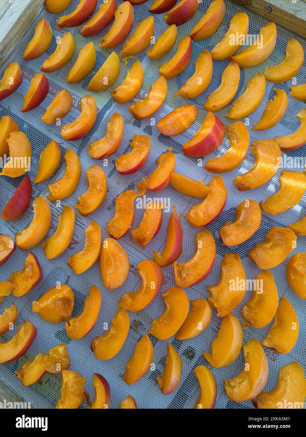 Organic apricots chopped to dehydrate them Stock Photo - Alamy