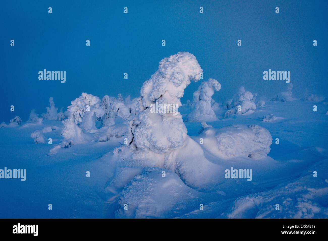 Surreal ice sculptures at dusk, Lapland, Finland Stock Photo - Alamy