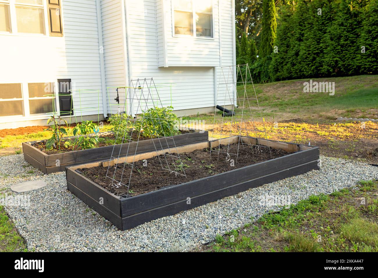 A lush raised garden bed thriving in late spring Stock Photo - Alamy