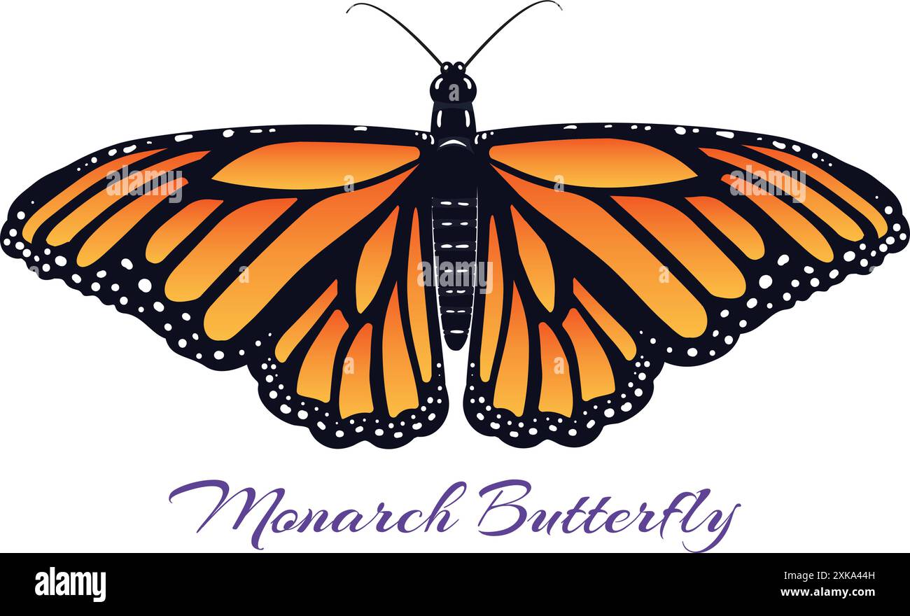 Monarch butterfly emblem Stock Vector Image & Art - Alamy