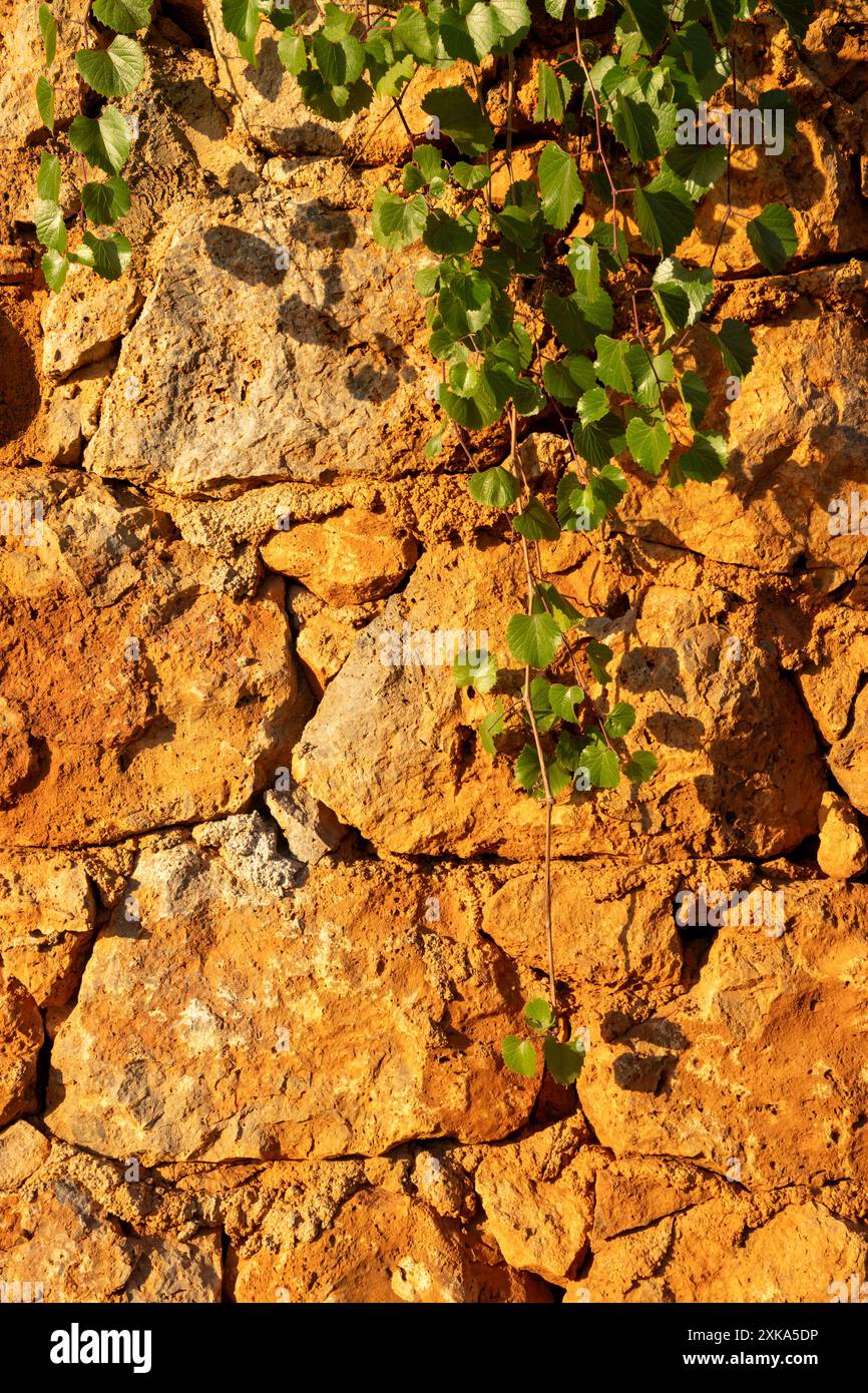 Natural rock wall, photographed at golden hour Stock Photo - Alamy