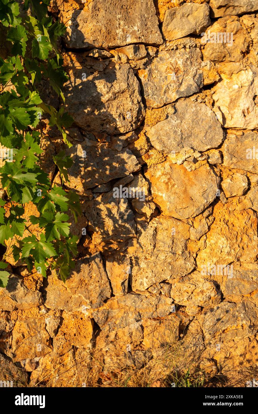 Natural rock wall, photographed at golden hour Stock Photo - Alamy