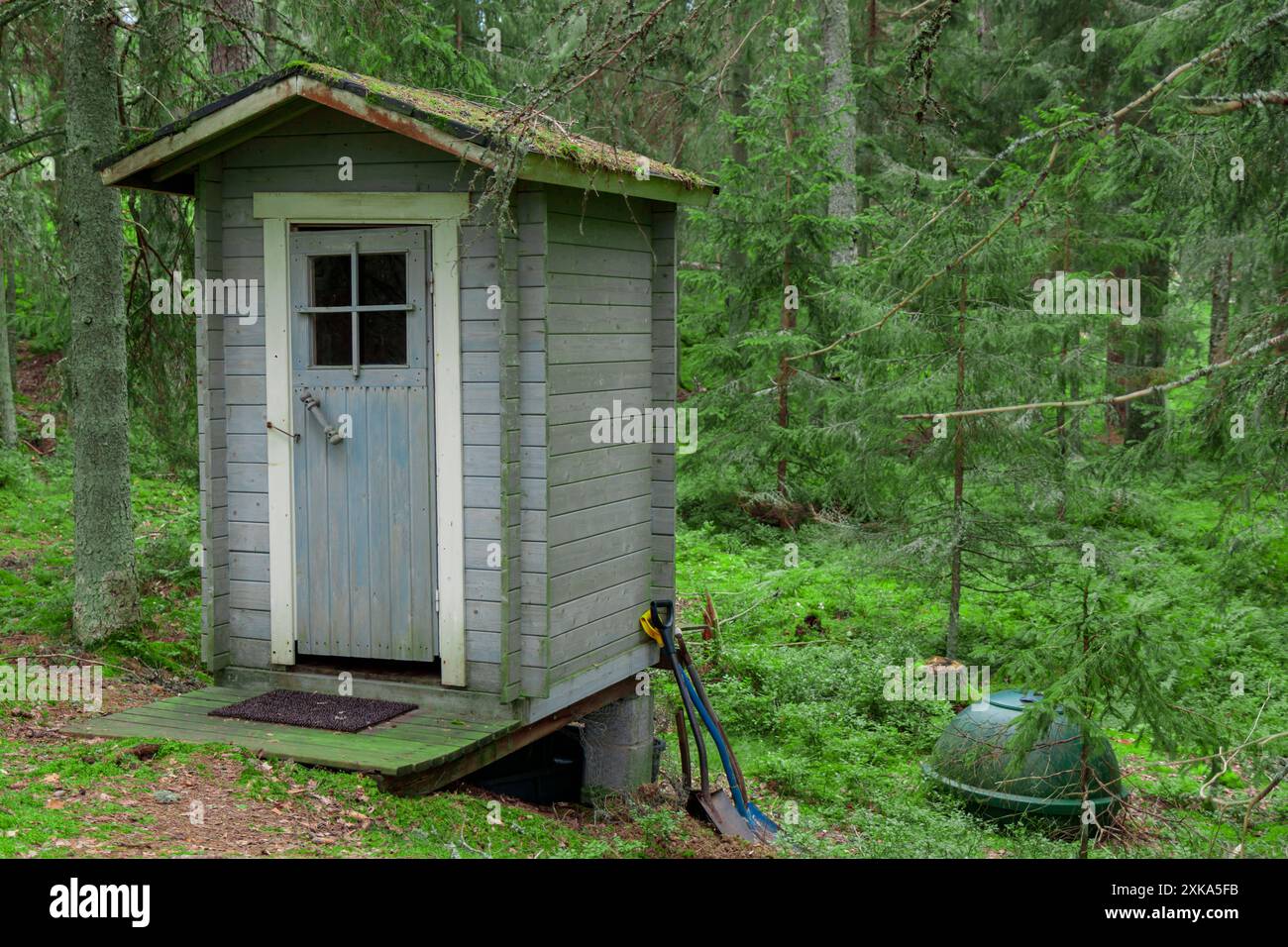 Wooden toilet in the forest. Blue colored natural bio WC cabin among ...