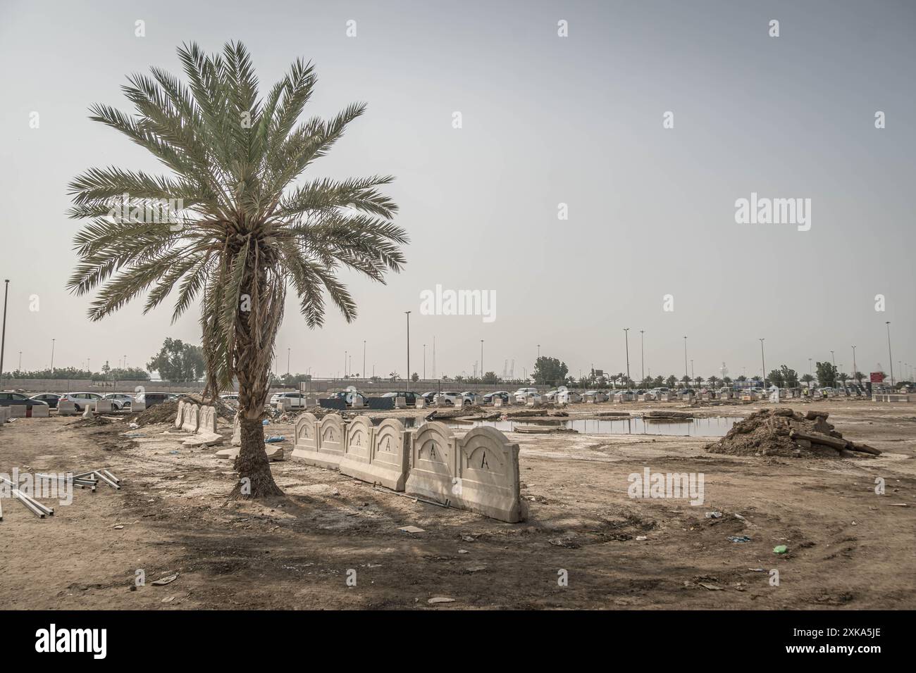 The palm trees along the highway and junk yard in Jeddah, Saudi Arabia ...
