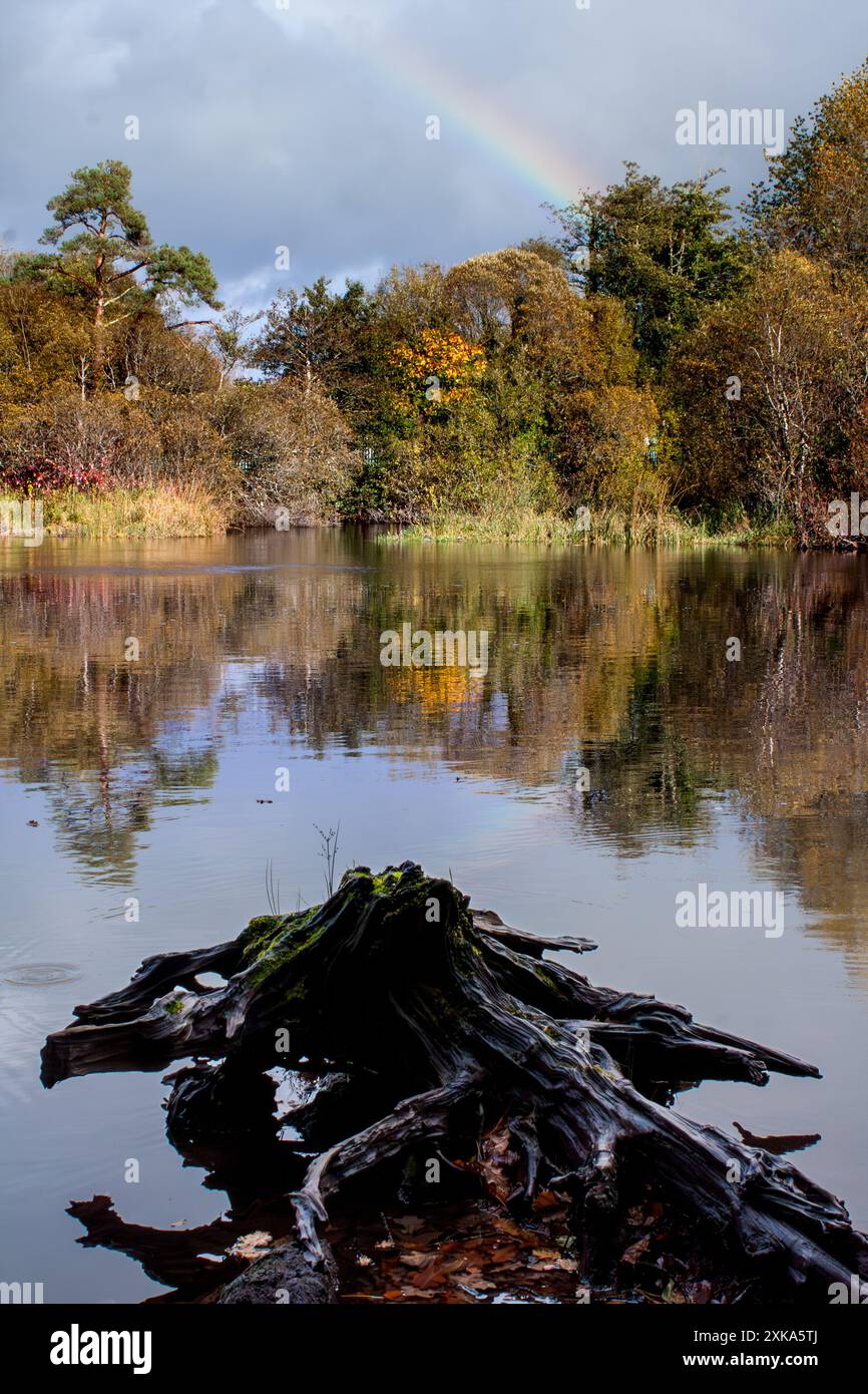 Patrick lake hi-res stock photography and images - Alamy