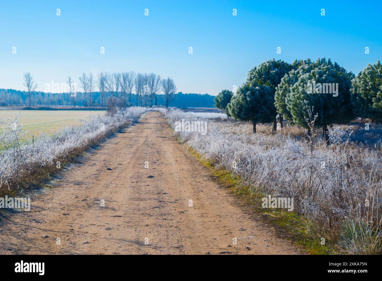 Spain camino invierno hi-res stock photography and images - Alamy