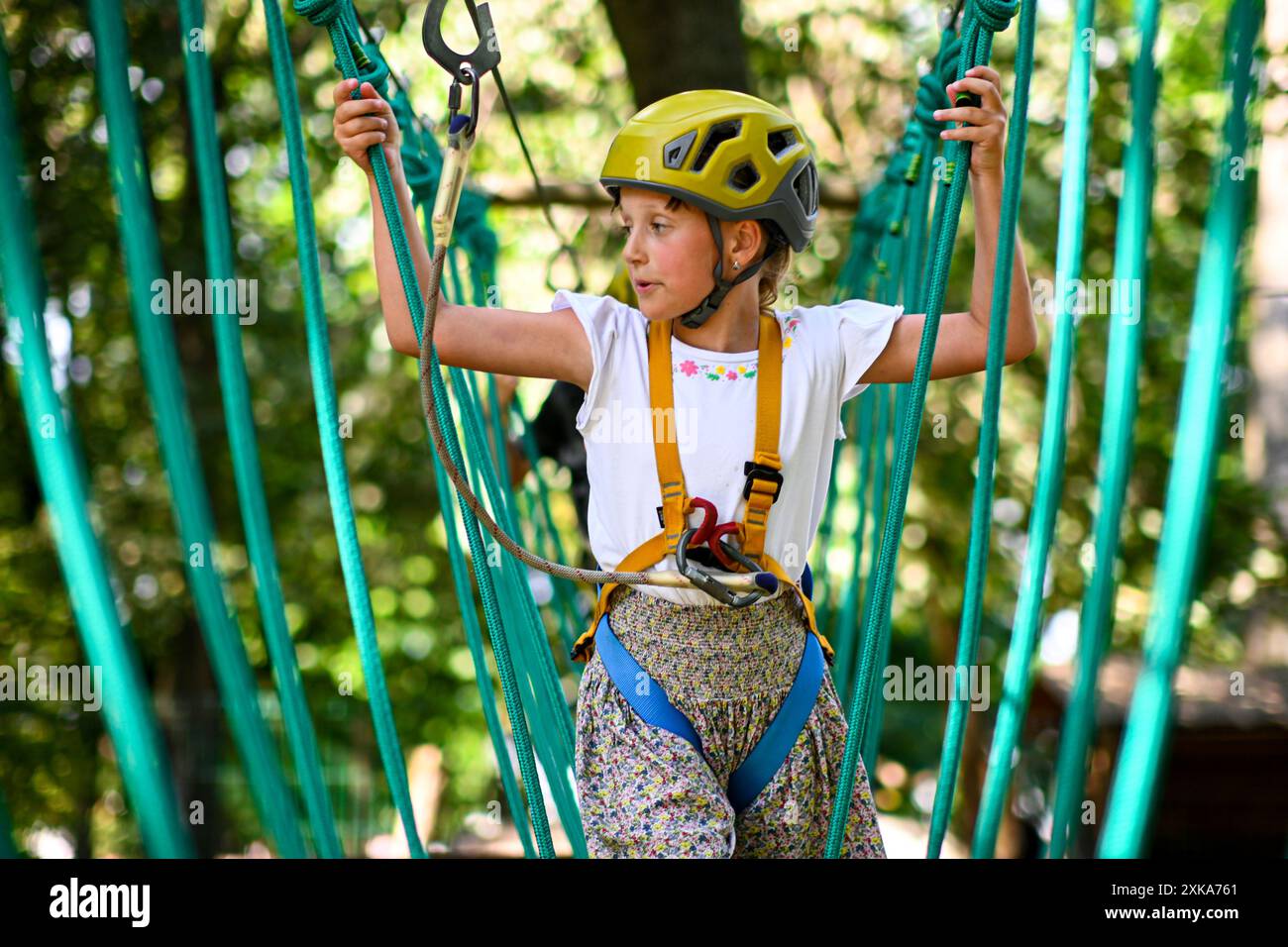 Young adventurer navigating a treetop obstacle course, demonstrating ...