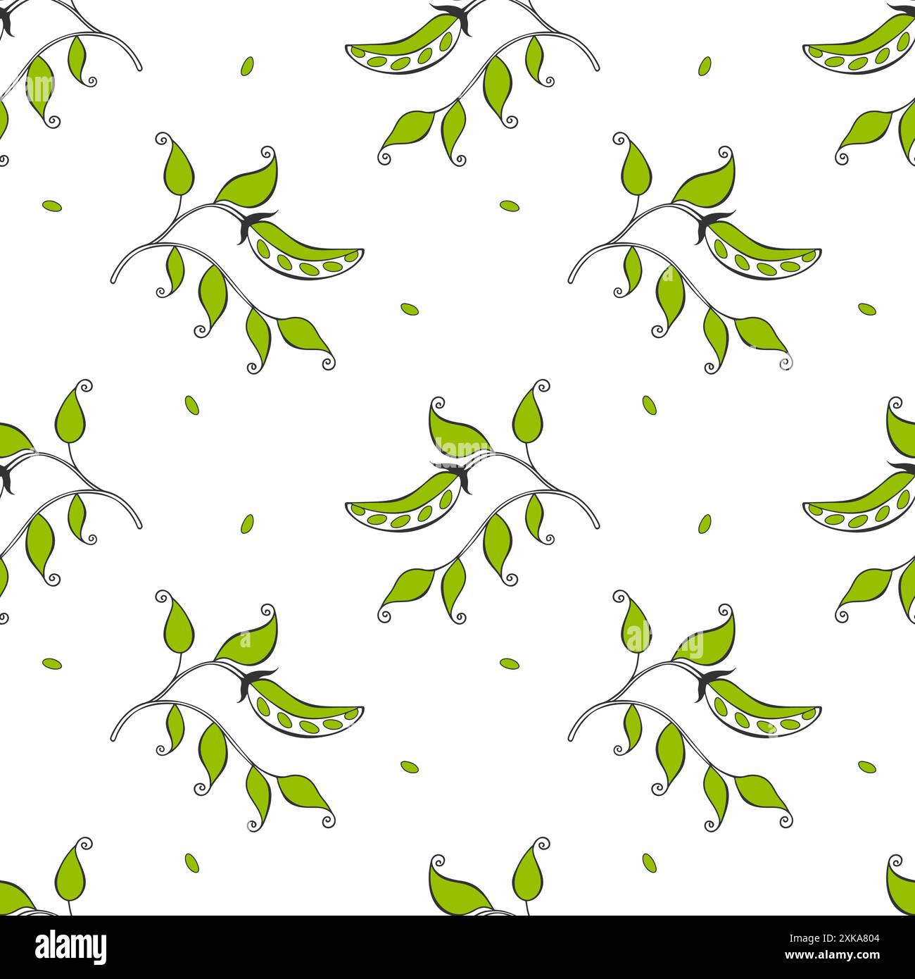 Pattern with branch of green Pea pods , on white background. Vector ...