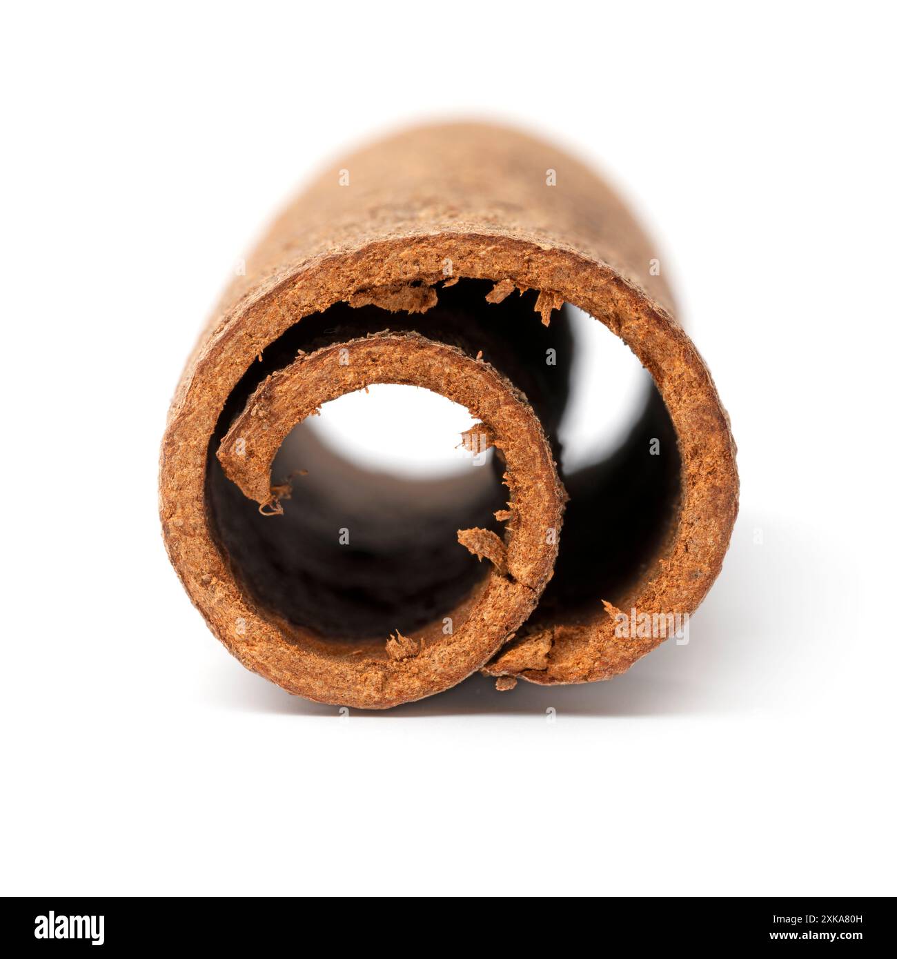 Single piece of dried Chinese cassia cinnamon close up isolated on ...