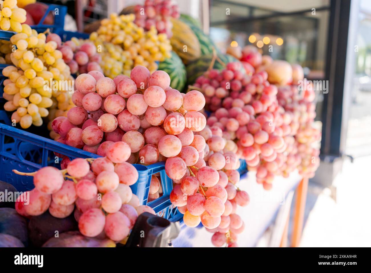 Grapevine stand hi-res stock photography and images - Alamy
