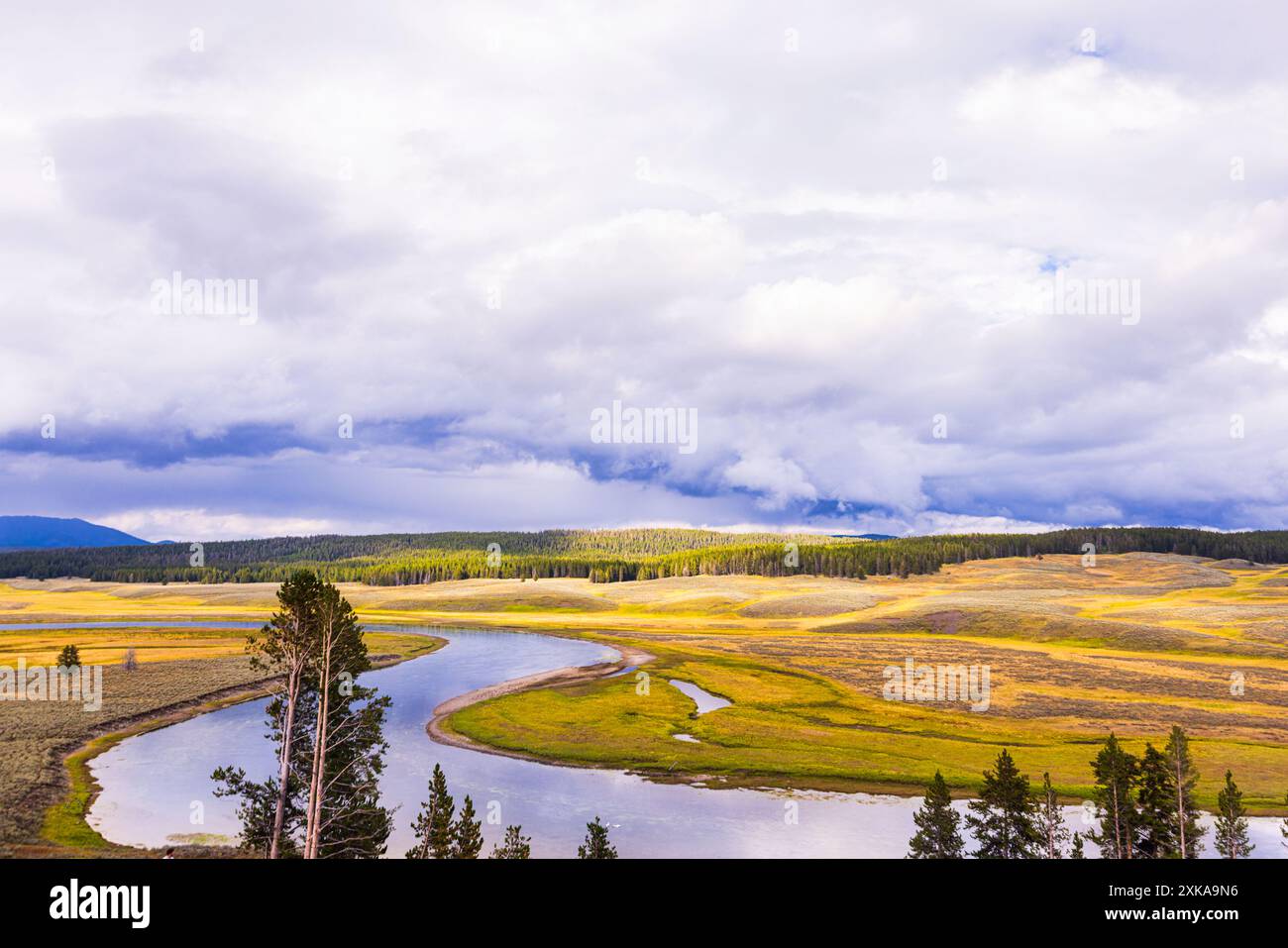 Bison through steam yellowstone hi-res stock photography and images - Alamy