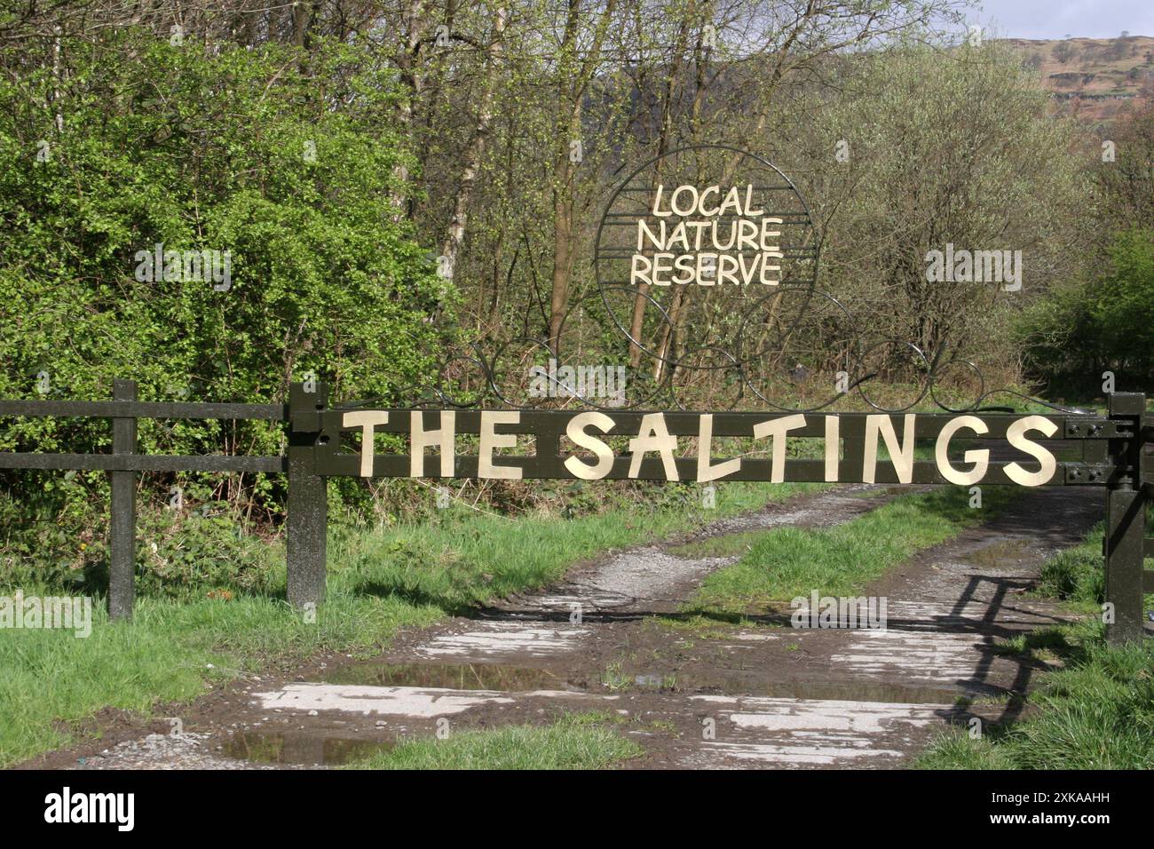 The Saltings nature reserve at Old Kilpatrick, West Dunbartonshire ...