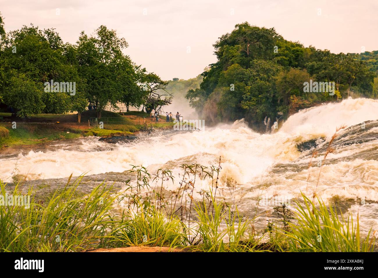 Scenic view of River Nile viewed from Murchison Falls National Park in ...