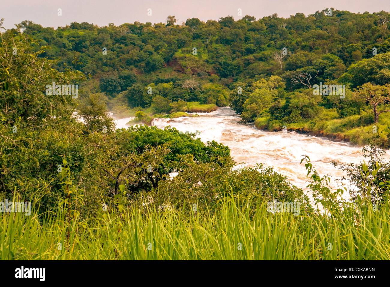 Scenic view of River Nile viewed from Murchison Falls National Park in ...