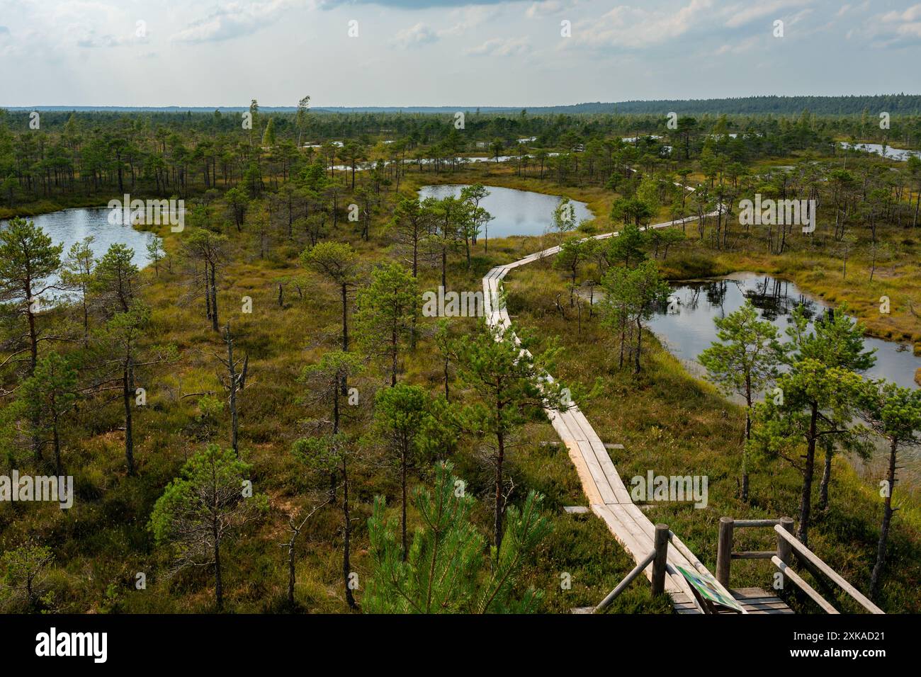 Wooden pathway over swamp hi-res stock photography and images - Alamy