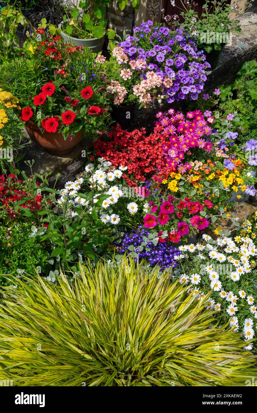 Bright summer bedding plants in a display outside a house in an English ...