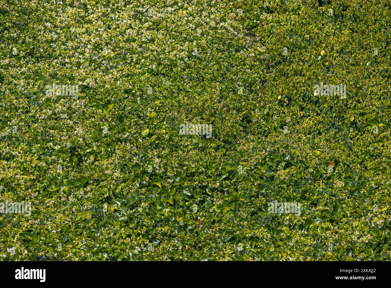 Adequate conditions hi-res stock photography and images - Alamy