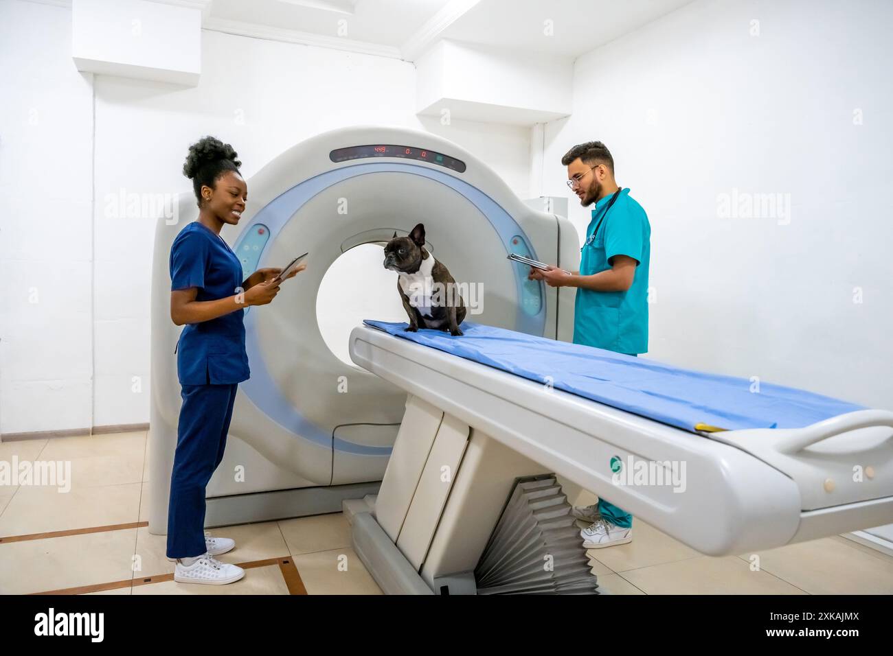 Veterinarians preparing for MRI procedure for the dog Stock Photo - Alamy
