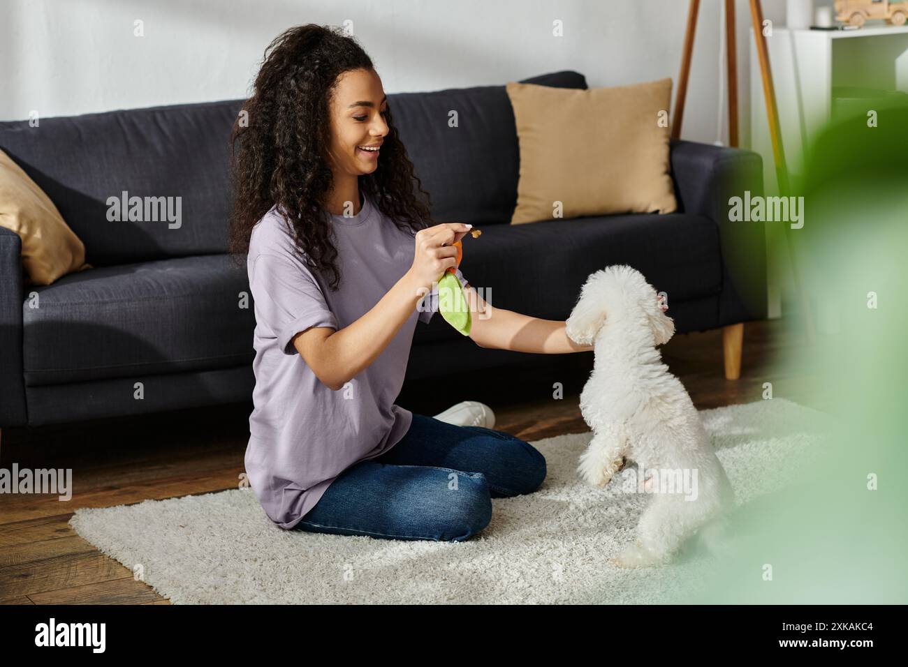 Owner playing joyful dog hi-res stock photography and images - Alamy