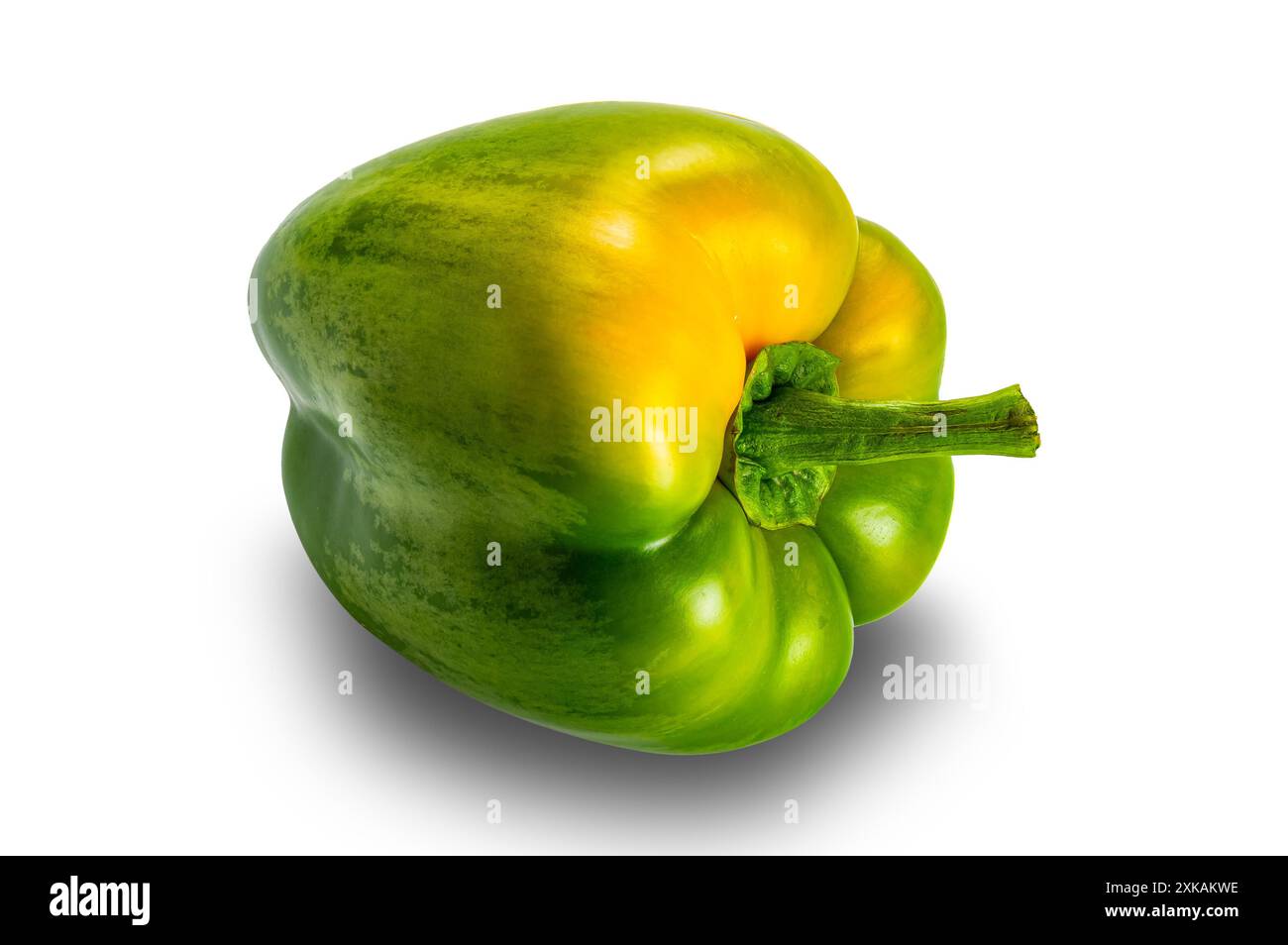 Side view closeup of single fresh green bell pepper, paprika isolated ...