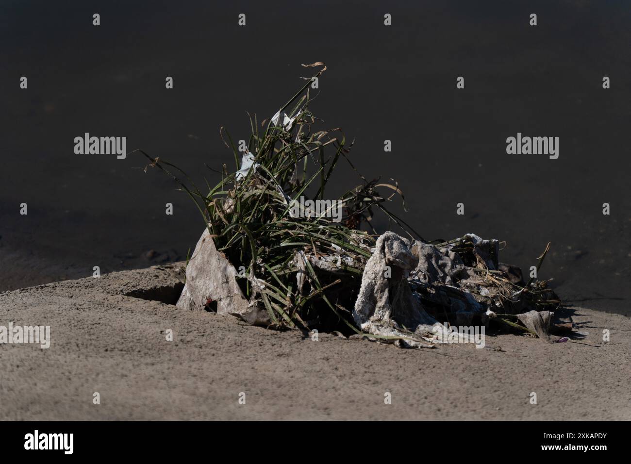 The Bes˜s River Park has been affected by a toxic ammonia spill into ...