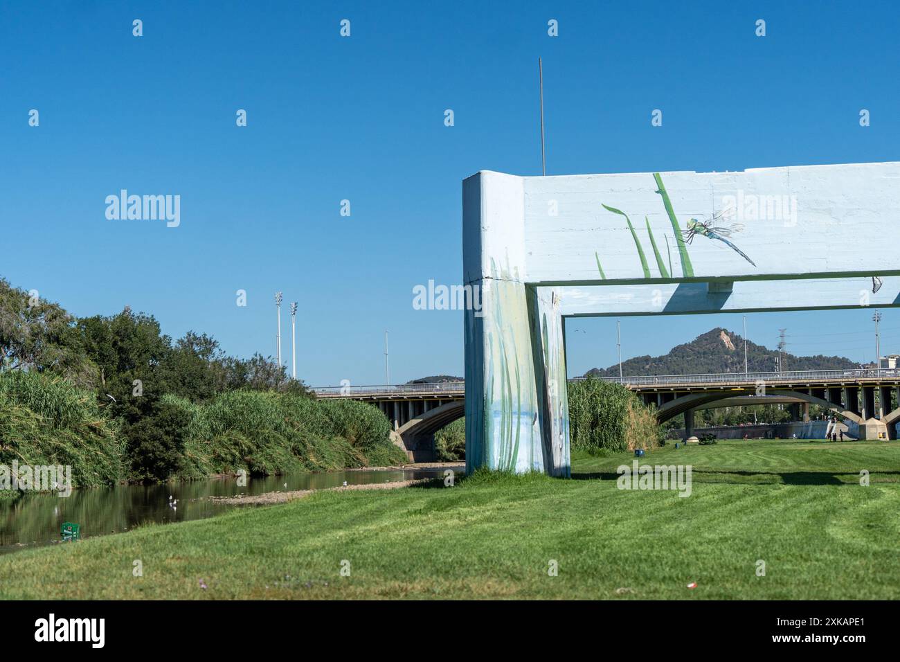 The Bes˜s River Park has been affected by a toxic ammonia spill into ...