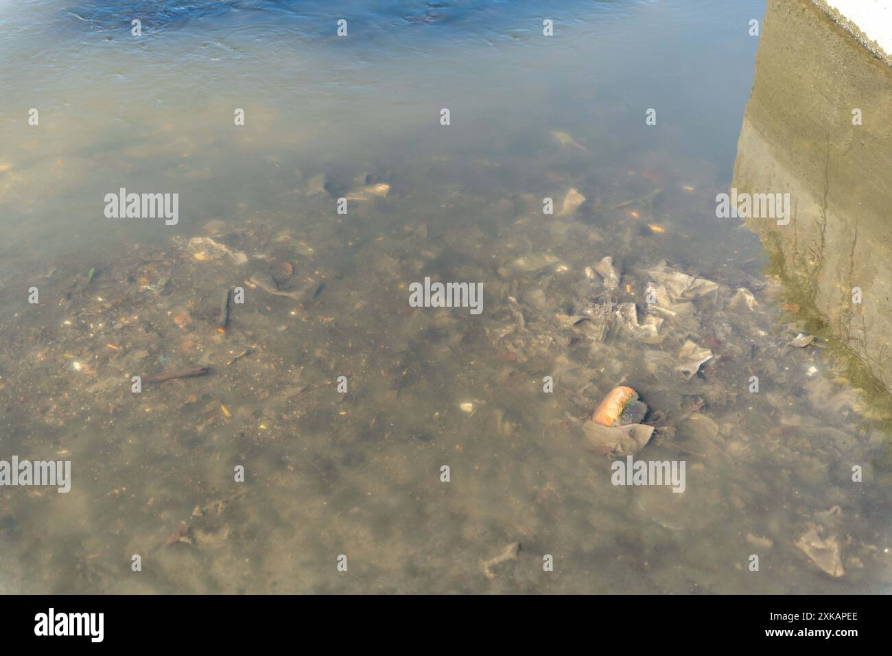 The Bes˜s River Park has been affected by a toxic ammonia spill into ...